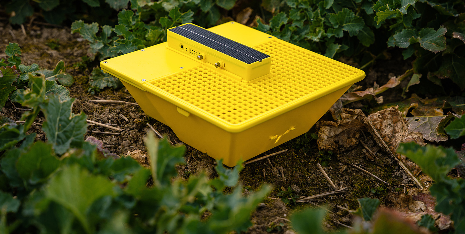 MagicTrap 2: Robuster – Präziser - Zuverlässiger | Bayer CropScience Deutschland GmbH